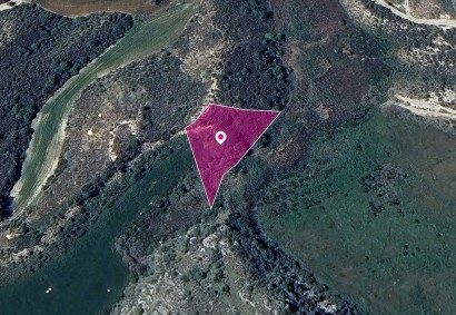 Steni, Paphos Agricultural Land For Sale | DT1269